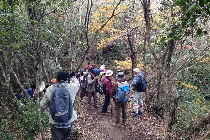 See Snow Monkeys on a Private Day Trip from Tokyo by Bullet Train - Practical Details: What to Expect and Why It Matters