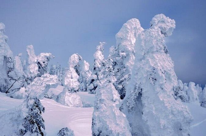 See Snow Monkeys on a Private Day Trip from Tokyo by Bullet Train - What’s Missing?