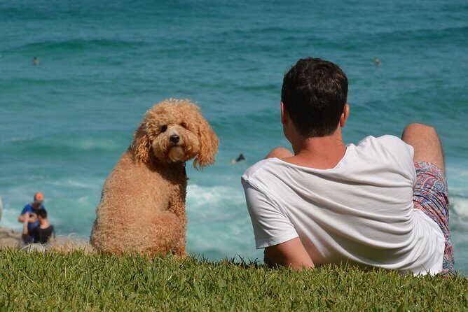 See Sydney With A Local: Private & Personalized - Why Consider this Tour?