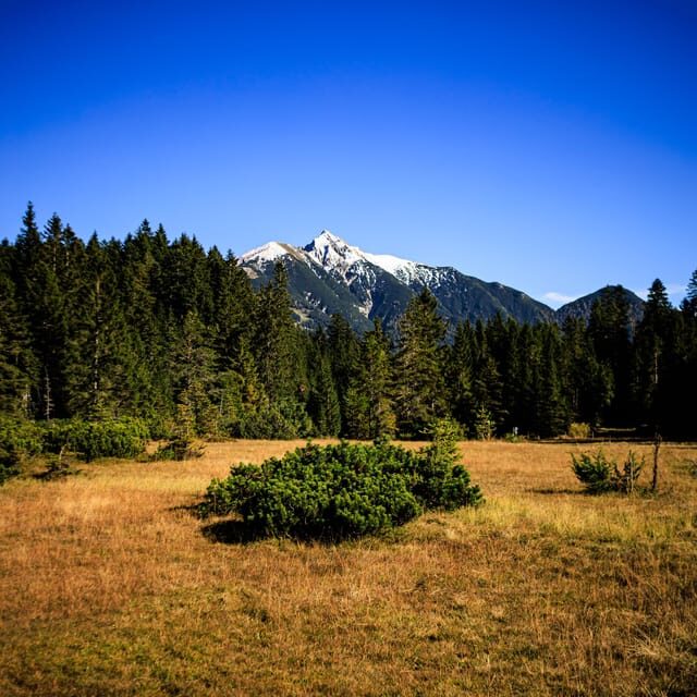 Seefeld: Two lakes and the Brunschkopf - Who Will Love This Tour?