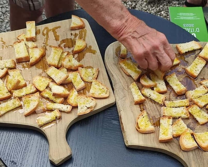 Seggiano: Guided Tour of the Olive Grove and Food Tasting - Key Points