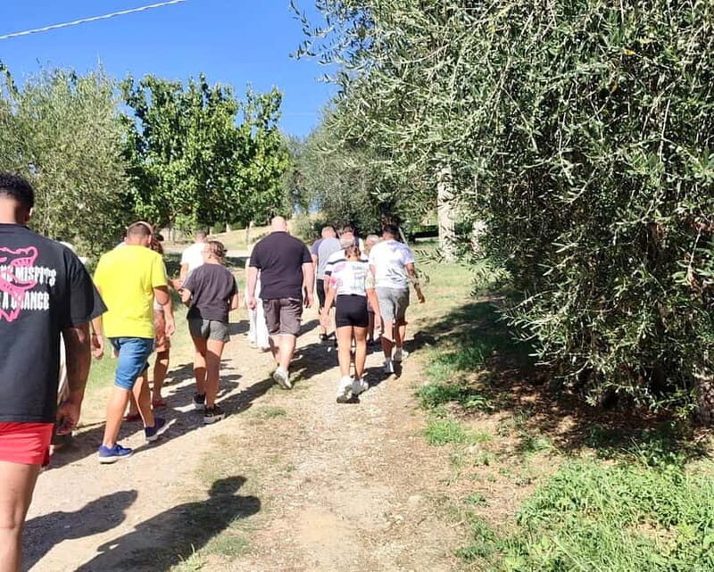 Seggiano: Guided Tour of the Olive Grove and Food Tasting - Who Should Consider This Tour?