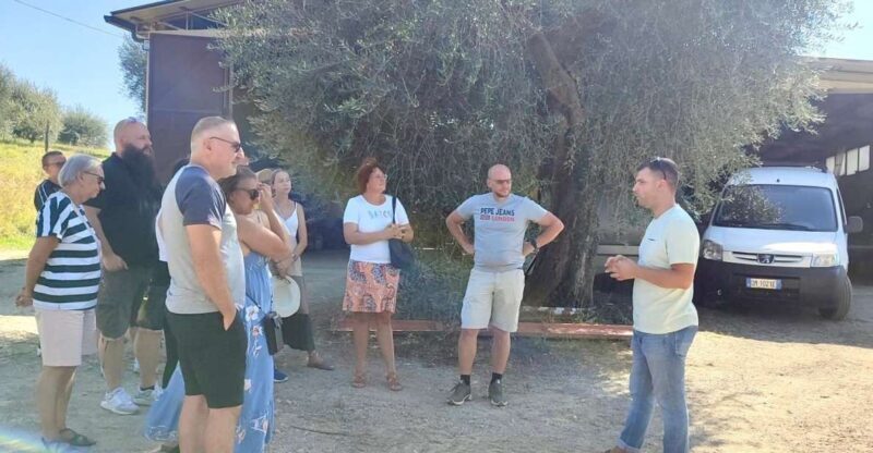 Seggiano: Typical Tuscan Farm Tour with Olive Oil Tasting - Authentic Insights from Reviews