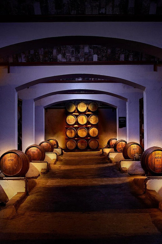 Segovia: DYC Distillery guided visit with whiskey tasting - Visualize the Experience