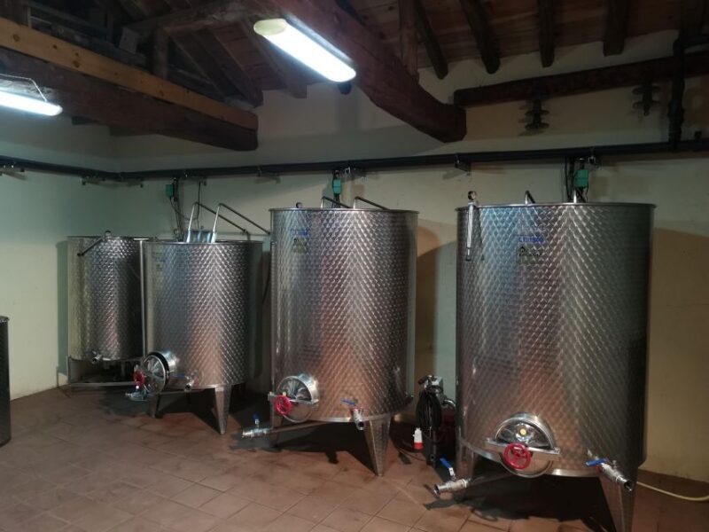 Segovia: Winery Tour with Wine Tasting - Key Points
