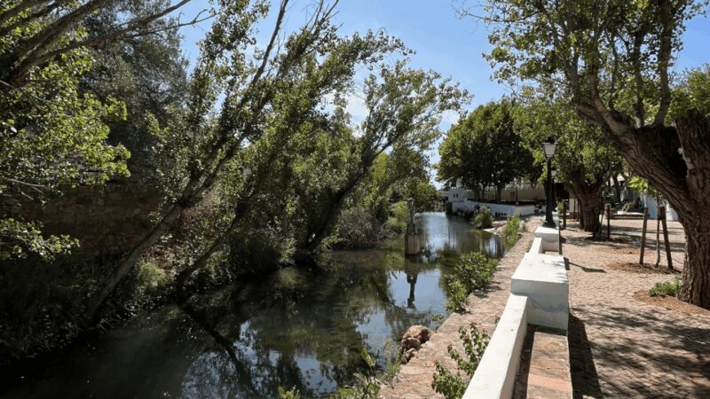 Segredos do Algarve: Tour Guiado (Full Day) - Who Will Love This Tour?