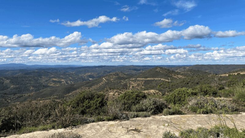Segredos do Algarve: Tour Guiado (Full Day) - The Sum Up: Who Is This Tour Best For?