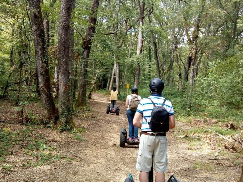 Segway hike 2h00 Aix les Bains between lake and forest - FAQ: Your Questions About the Aix-les-Bains Segway Tour