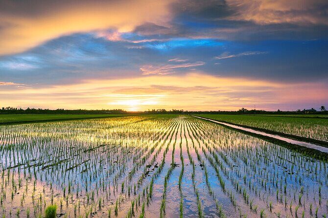Sekinchan Paddy Field, Fishing Village & Redang Beach Tour from Kuala Lumpur - Final Thoughts