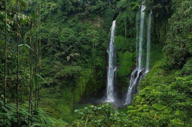 Sekumpul Bali Waterfall Tour - Key Points