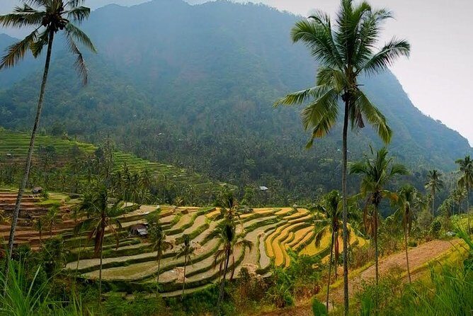 Sekumpul Bali Waterfall Tour - A Detailed Look at the Sekumpul Bali Waterfall Tour