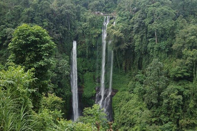 Sekumpul waterfall & aling2 waterfall with private service (including activity) - FAQ