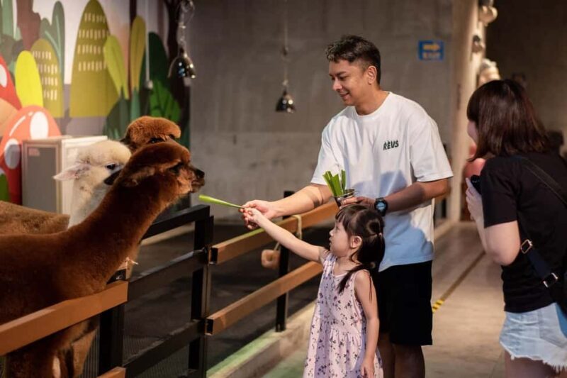 Selangor : Just Farm at Just Pets Megastore Ticket - The Experience at Just Farm: What to Expect