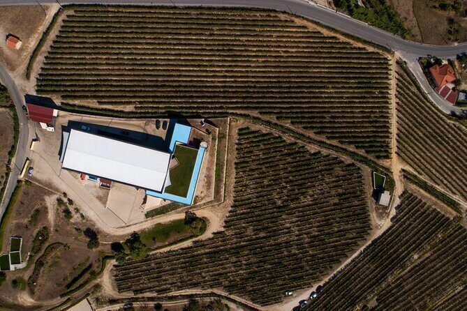 Selection Tasting | Quinta de Santa Cristina Vinho Verde - An Overview of What to Expect