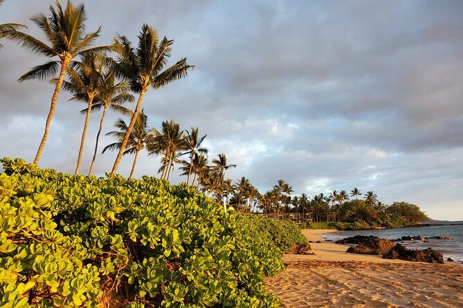 Self Discovery Session through Numerology & Intuitive Guidance - The Sum Up