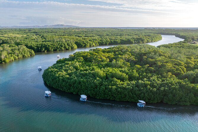 Self Drive BBQ eBoat Cruise with Onboard BBQ Denarau Fiji - Introduction: A Unique Way to Explore Fiji