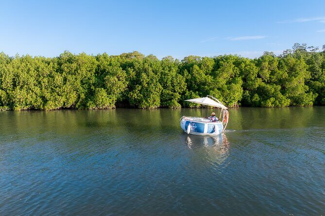 Self Drive BBQ eBoat Cruise with Onboard BBQ Denarau Fiji - What Makes This Experience Stand Out