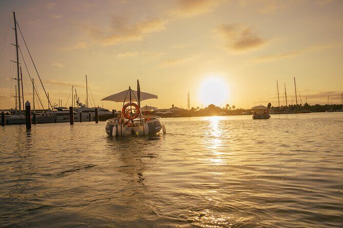Self Drive BBQ eBoat Cruise with Onboard BBQ Denarau Fiji - Authentic Feedback from Travelers