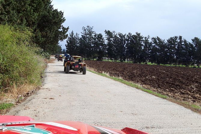 Self drive Buggy Safari at Aphrodite's Rock in Paphos - Balancing Value and Experience