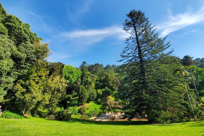 Self-Drive Tour in Sintra - Quinta da Regaleira & Azenhas do Mar - Who Is This Tour Best For?