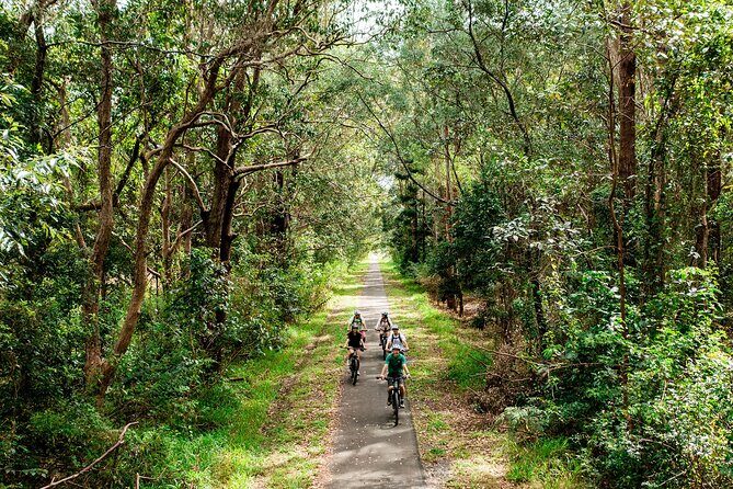 Self Guide E Bike Tour - Husk Distillery, Rainforest & Rail Trail - Who Should Consider This Tour?
