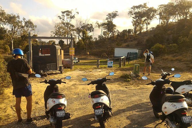 Self Guided Agnes to 1770 Scooter Hire - Final Thoughts