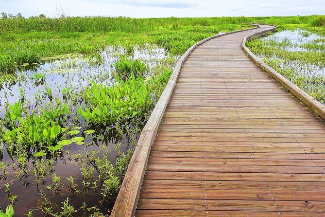 Self-Guided Audio Driving Tour in Creole Nature Trail - What to Expect from the Creole Nature Trail Self-Guided Tour