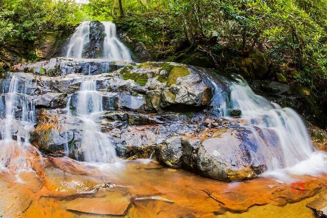 Self-Guided Audio Driving Tour in Great Smoky Mountains - Stop 5: Newfound Gap