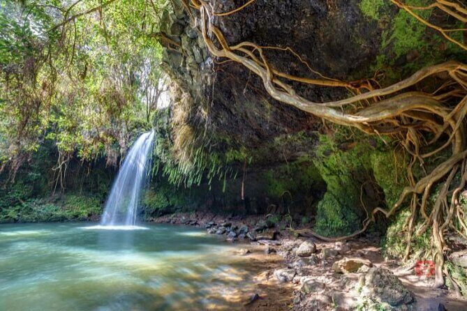 Self-Guided Audio Driving Tour in Maui - Who Will Love This Tour?