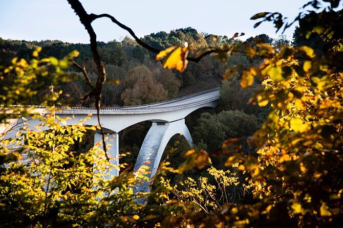 Self-Guided Audio Driving Tour in Natchez Trace Parkway - Stop 5: Muscle Shoals