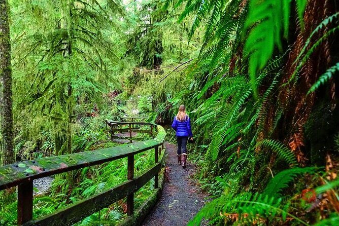Self-Guided Audio Driving Tour in Olympic National Park - FAQ