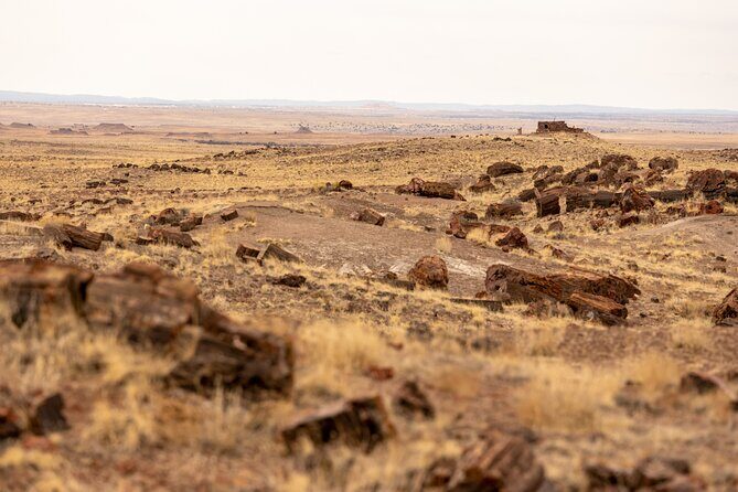 Self-Guided Audio Driving Tour in Petrified Forest National Park - Introduction: Why This Tour Stands Out
