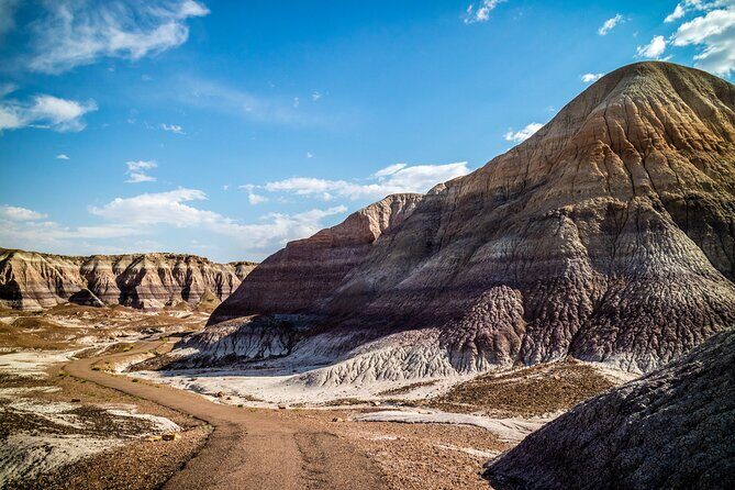Self-Guided Audio Driving Tour in Petrified Forest National Park - What Visitors Are Saying