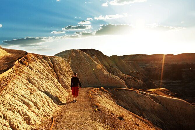 Self-Guided Audio Driving Tour in Petrified Forest National Park - Technical and Practical Details