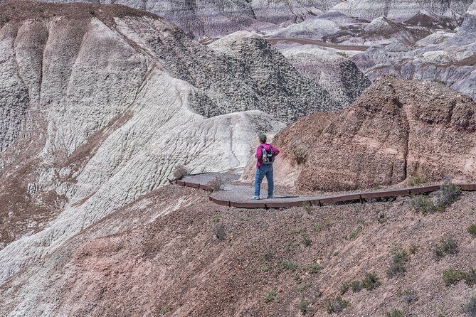 Self-Guided Audio Driving Tour in Petrified Forest National Park - The Sum Up: Is This the Right Tour for You?