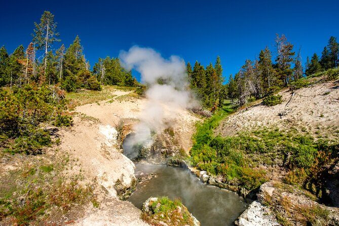 Self-Guided Audio Driving Tour in Yellowstone National Park - Price Analysis and Value