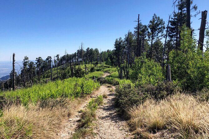 Self-Guided Audio Driving Tour of Mount Lemmon - Why This Tour Offers Great Value