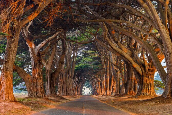 Self-Guided Audio Driving Tour of Point Reyes National Seashore - What’s Missing?