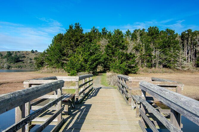 Self-Guided Audio Driving Tour of Point Reyes National Seashore - Final Thoughts: Who is This Tour Best For?