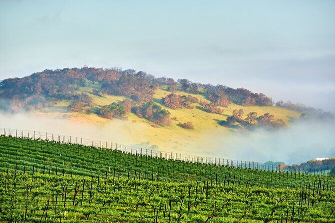 Self-Guided Audio Driving Tour of Sonoma and Napa Valley - What the Tour Offers in Detail