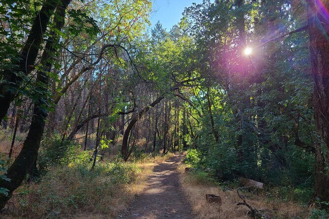 Self-Guided Audio Driving Tour of Sonoma and Napa Valley - Who This Tour Is Best For
