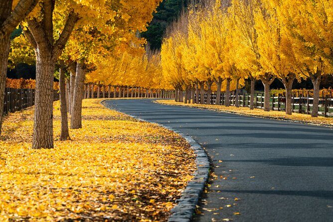 Self-Guided Audio Driving Tour of Sonoma and Napa Valley - Final Thoughts