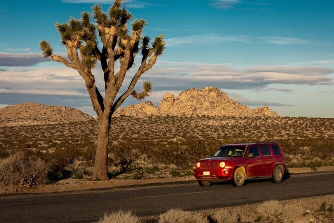 Self Guided Audio Tour of Joshua Trees Hidden Valley Trail - Who Would Love This Tour?
