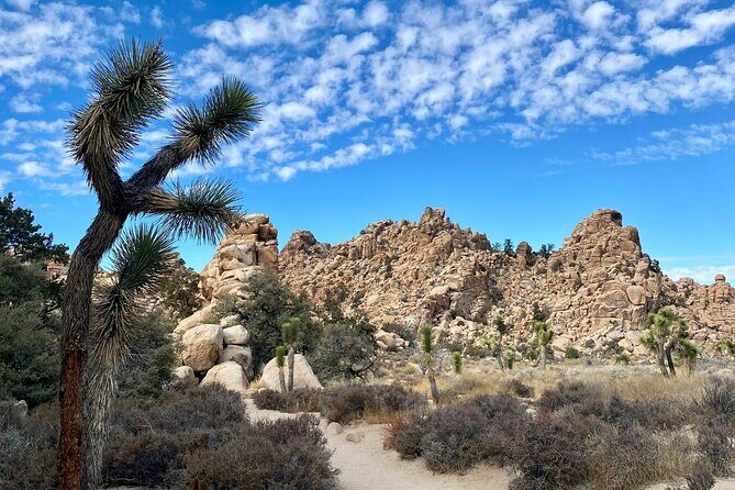Self Guided Audio Tour of Joshua Trees Hidden Valley Trail - The Sum Up: Who Should Take This Tour?