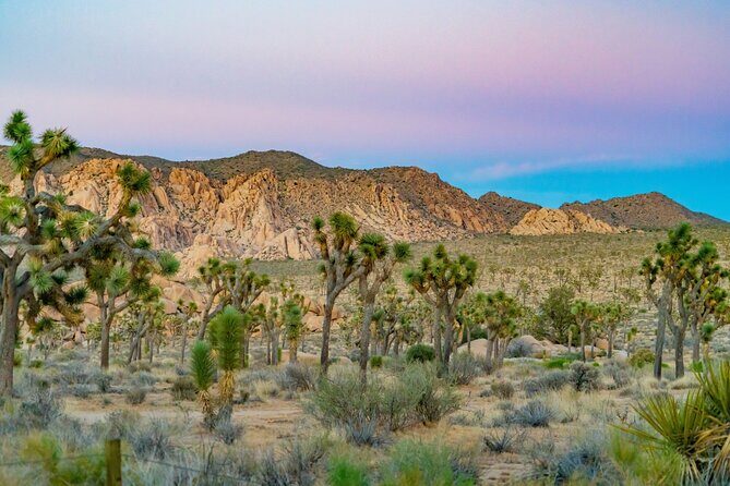 Self Guided Audio Tour of Joshua Trees Hidden Valley Trail - FAQs