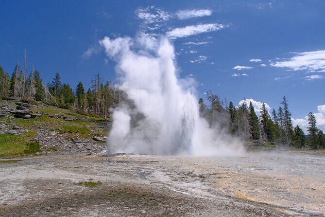 Self Guided Audio Walking Tour of Old Faithful Geyser Basin - Who Will Love This Tour?