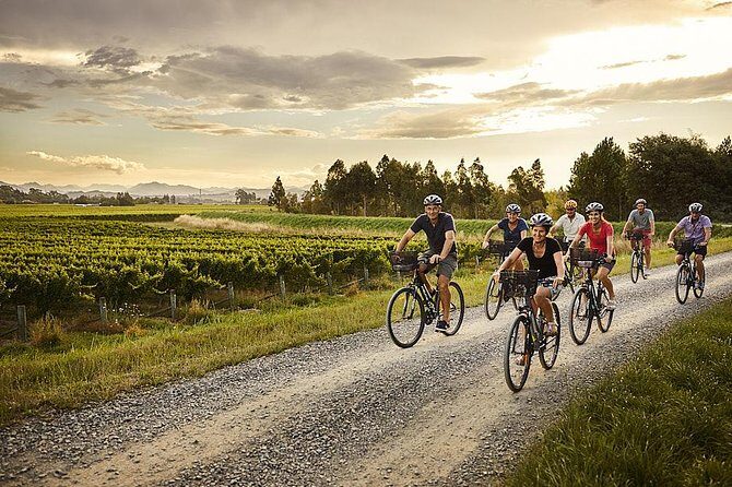 Self-Guided Biking Wine Tour (full day) in the Marlborough Region. - A Practical and Enjoyable Way to Tour Marlborough’s Vineyards