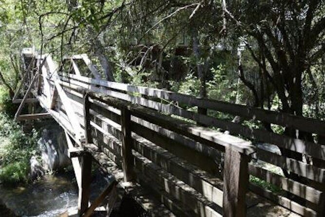 Self-Guided Calaveras Scavenger Hunt: UnFROGettable Angels Camp - Discovering Angels Camp: A blend of history, fun, and independence