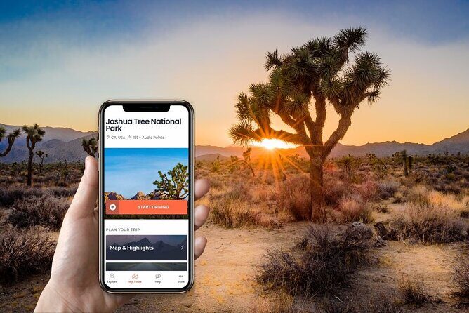 Self-Guided Driving Audio Tour in Joshua Tree National Park - A Deep Dive into the Joshua Tree Experience