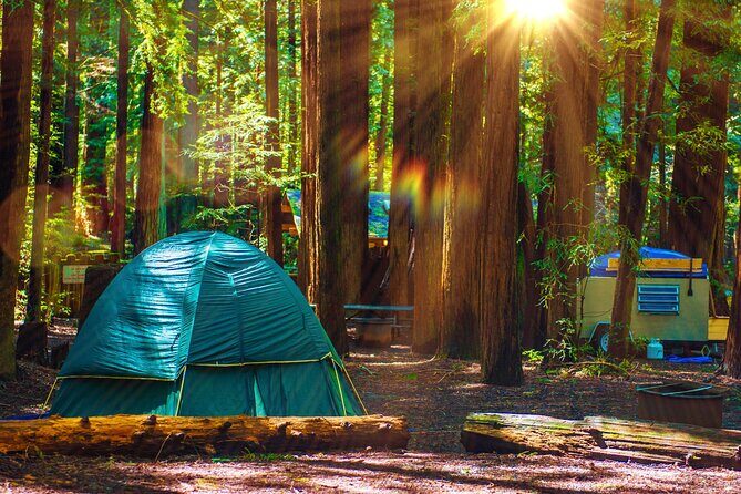 Self Guided Driving Audio Tour of Redwood National and State Park - Why This Tour Offers Real Value